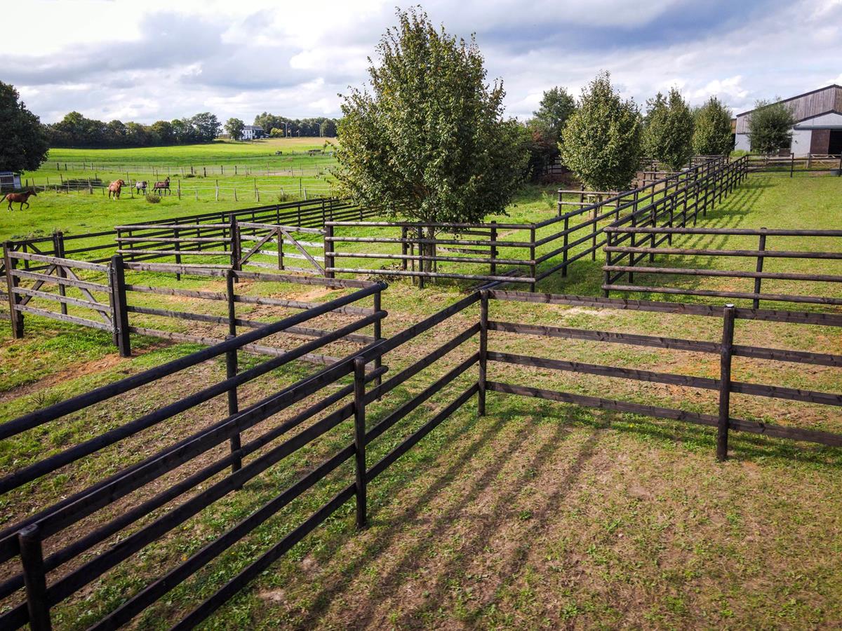 Koppelzaunsystem aus haltbarem Holz für Paddockzäune - Durafence